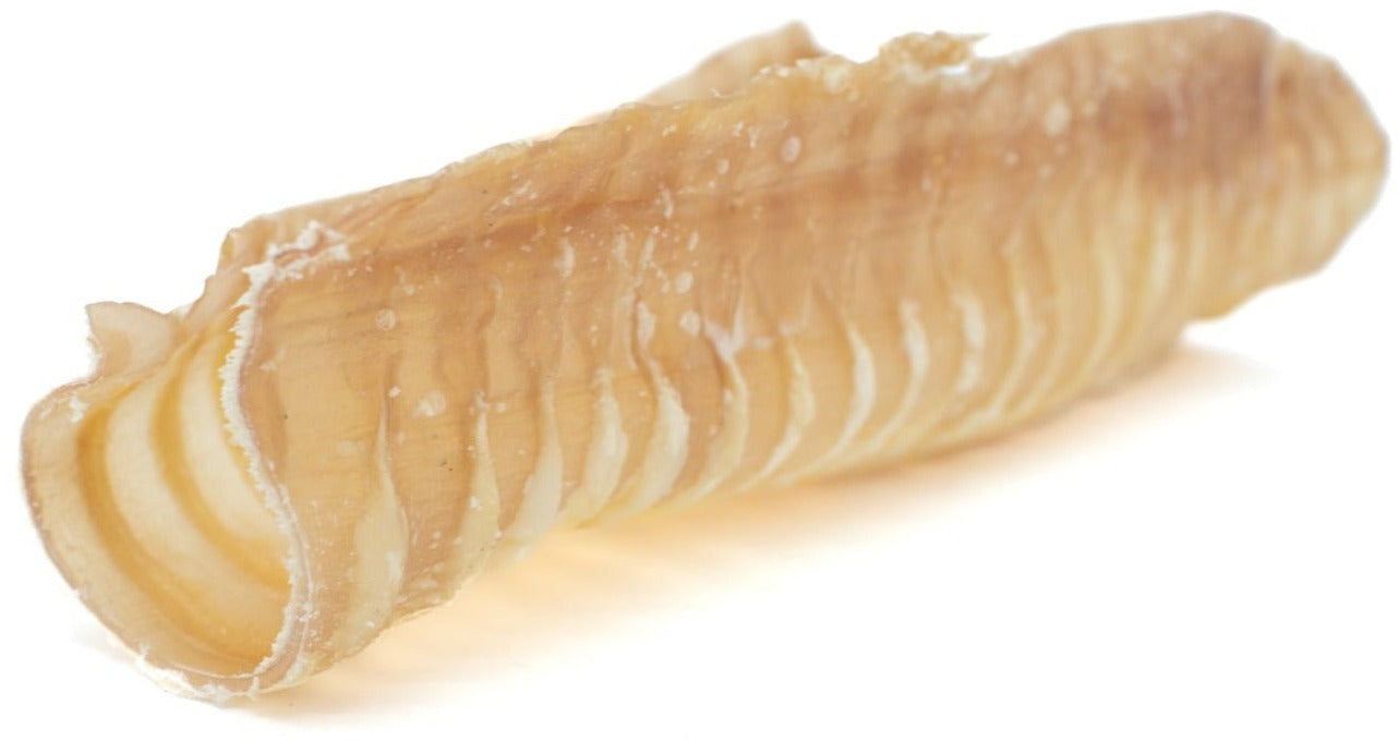 6 Inch Beef Trachea for Dogs | Bully Bunches – Bully Bunches